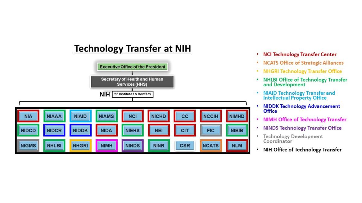News You Can Use: Technology Transfer | NIH Intramural Research Program